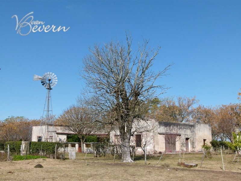 275 acres farm in Soriano – SRE103 - Uruguay Real Estate | van Bevern ...