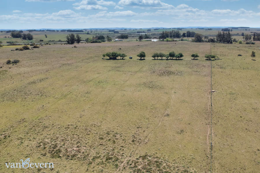 Undeveloped 25 acres rural estate on Route 9 – JIC223 - Uruguay Real ...