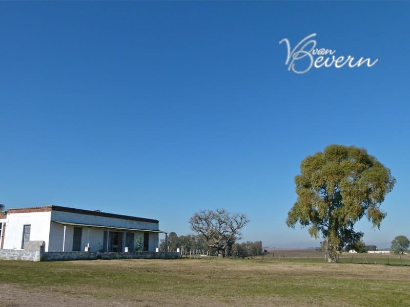 647 acres farm in Soriano – SRE101 - Uruguay Real Estate | van Bevern ...